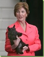 MOTUS A.D.: 7/4/10 - 7/11/10